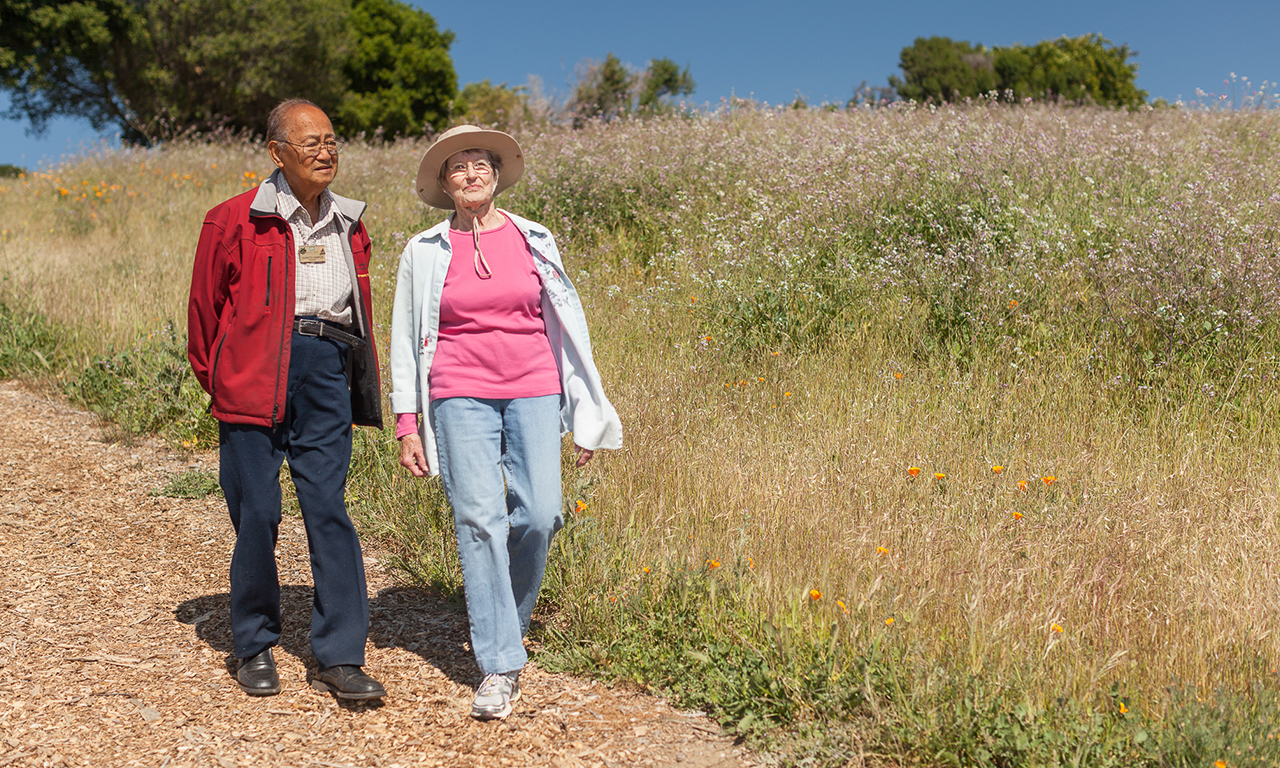 Walking in Nature - Acacia Creek